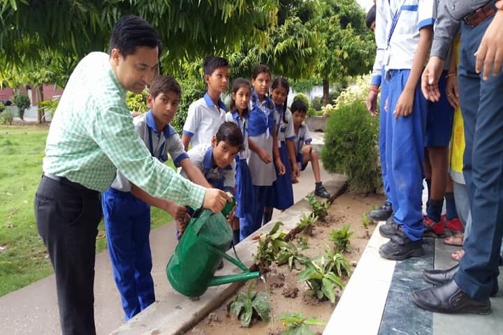 Tree Plantation In Schools
